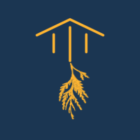 House Of Cedar